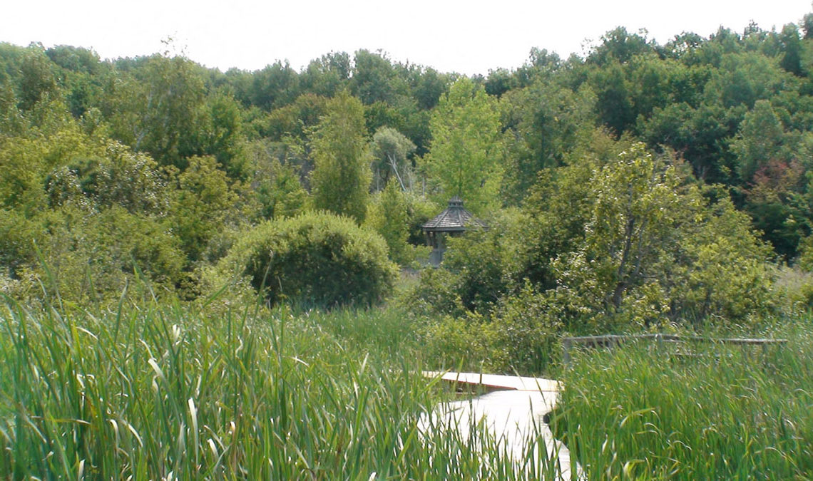 Marais Réal D Carbonneau Horizon Canada